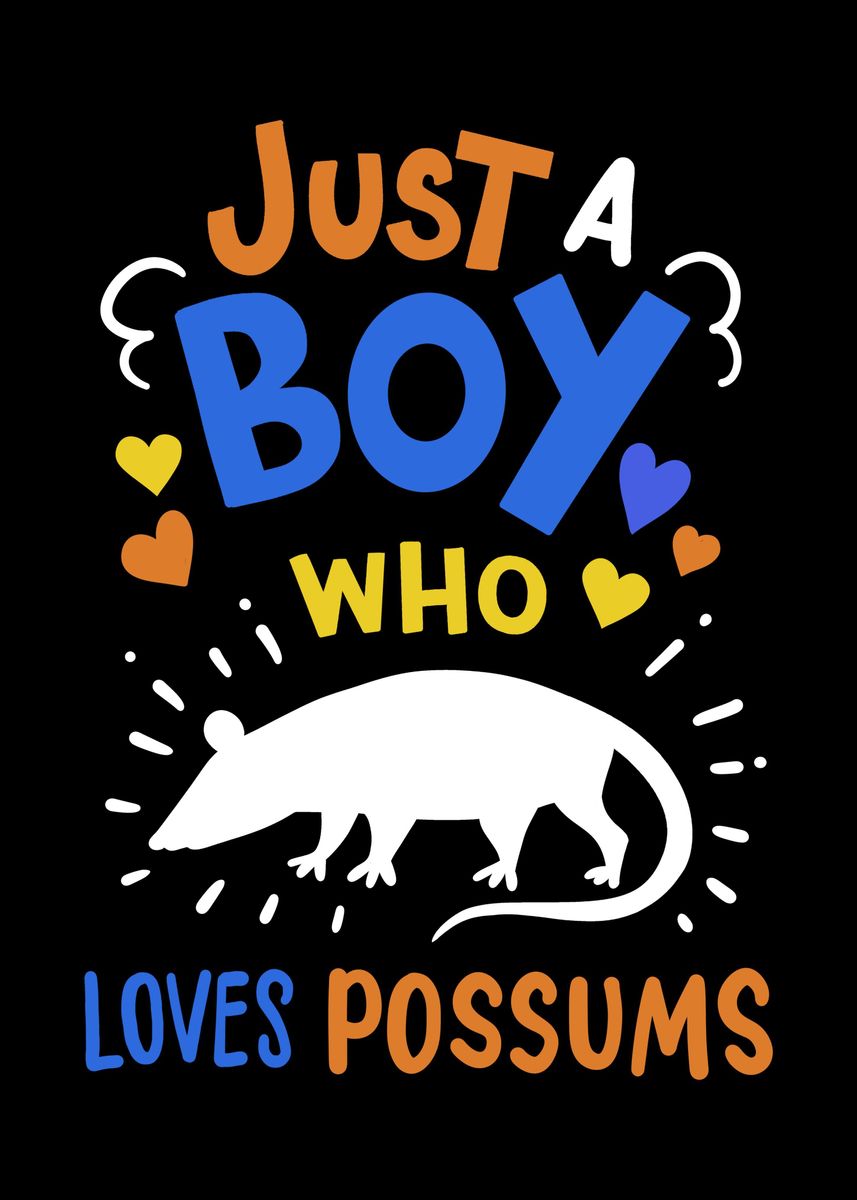 'Possum Possum Lover' Poster, picture, metal print, paint by Mealla ...