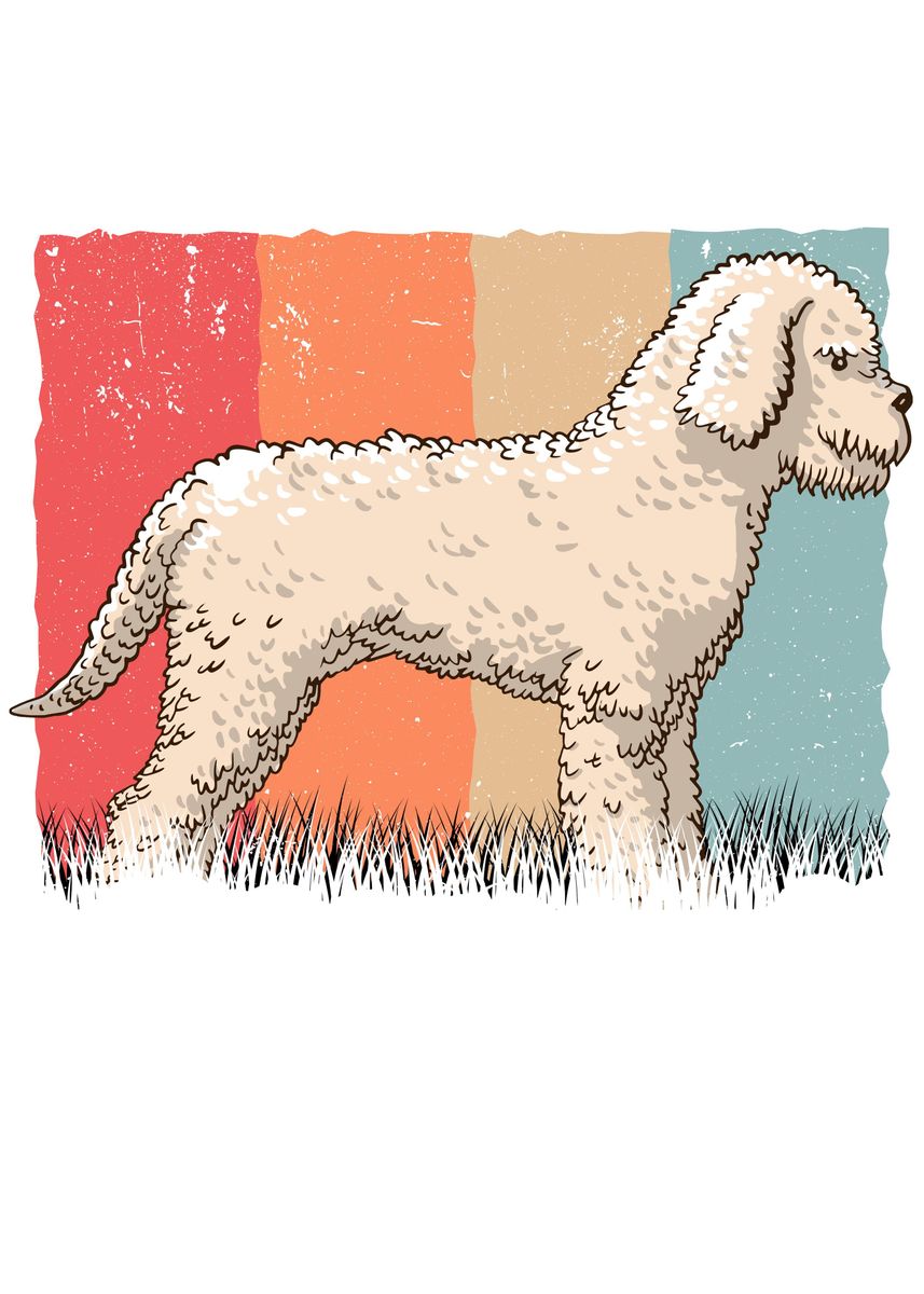 'Lagotto Romagnolo Vintage' Poster, picture, metal print, paint by ...