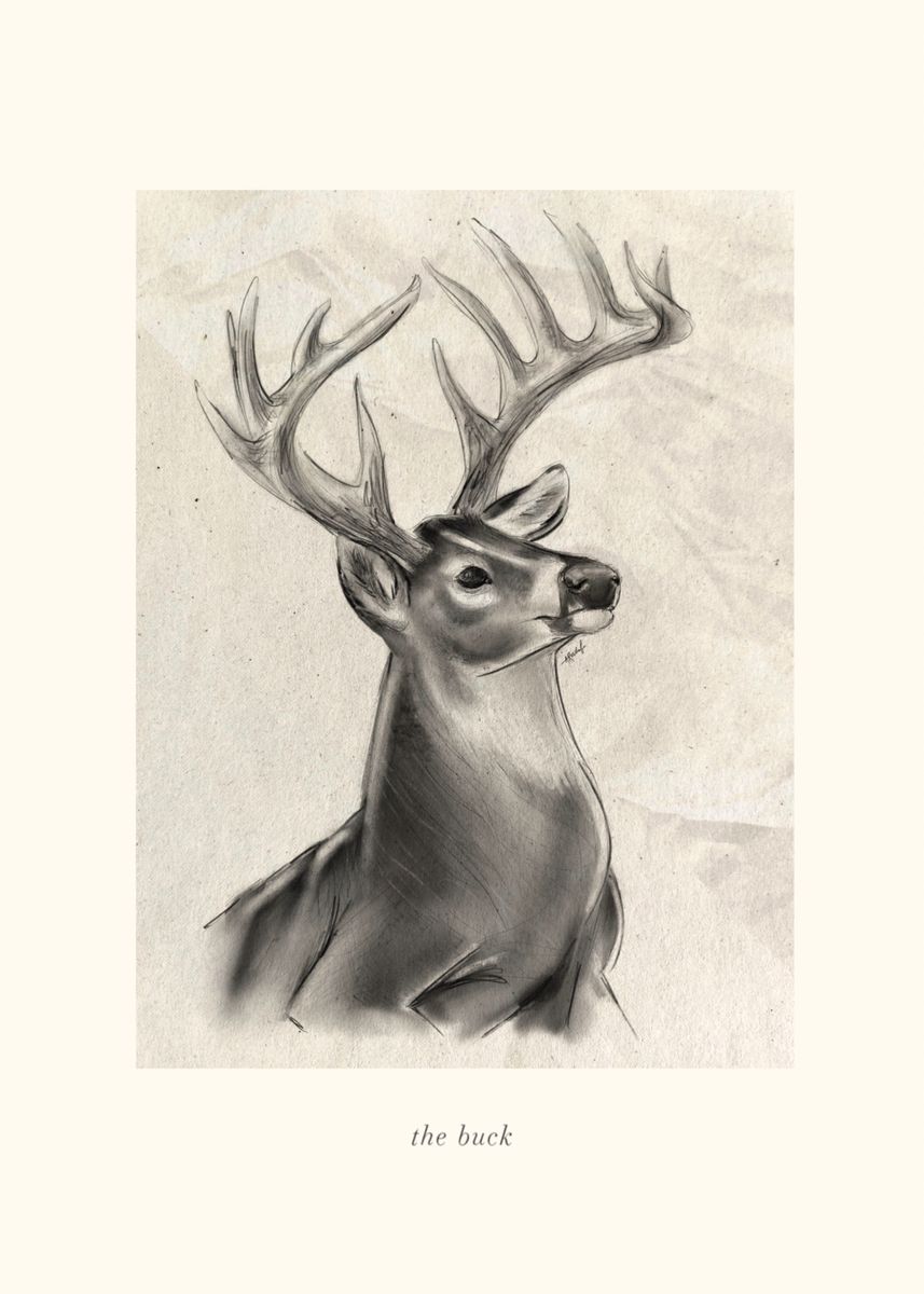 'the buck' Poster, picture, metal print, paint by LINARAandCO | Displate