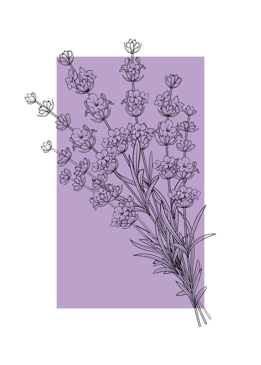 'Lavender Flower' Poster, picture, metal print, paint by dkDesign ...
