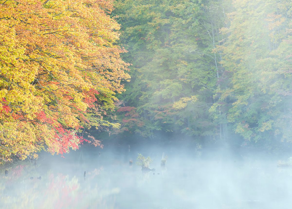 'Autumn Lake View in Japan' Poster by HanPing Tseng | Displate