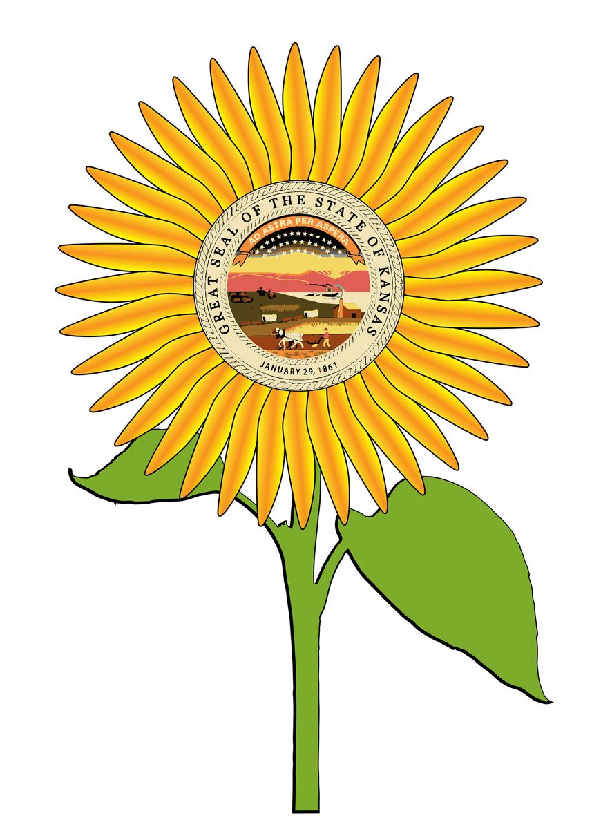 'Kansas State Sunflower' Poster, picture, metal print, paint by ...