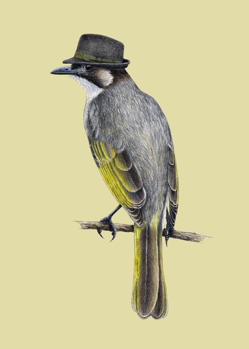 'Light vented bulbul' Poster, picture, metal print, paint by Mikhail ...