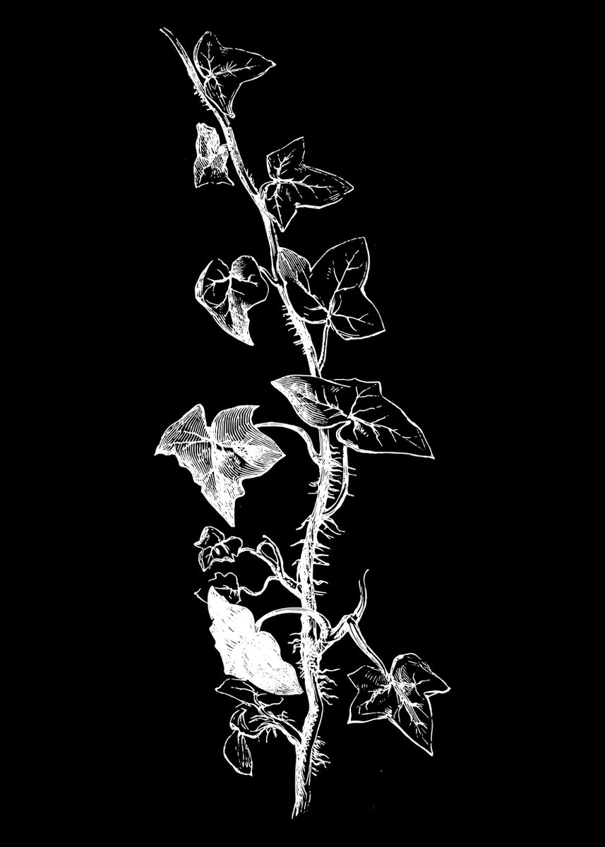 'Climbing Ivy II' Poster by Josh B | Displate