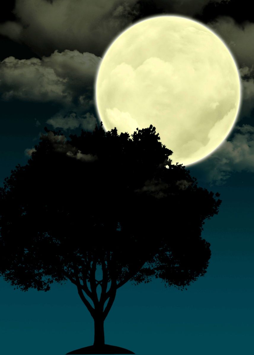 'Tree by night moon ' Poster, picture, metal print, paint by Max Ronn ...