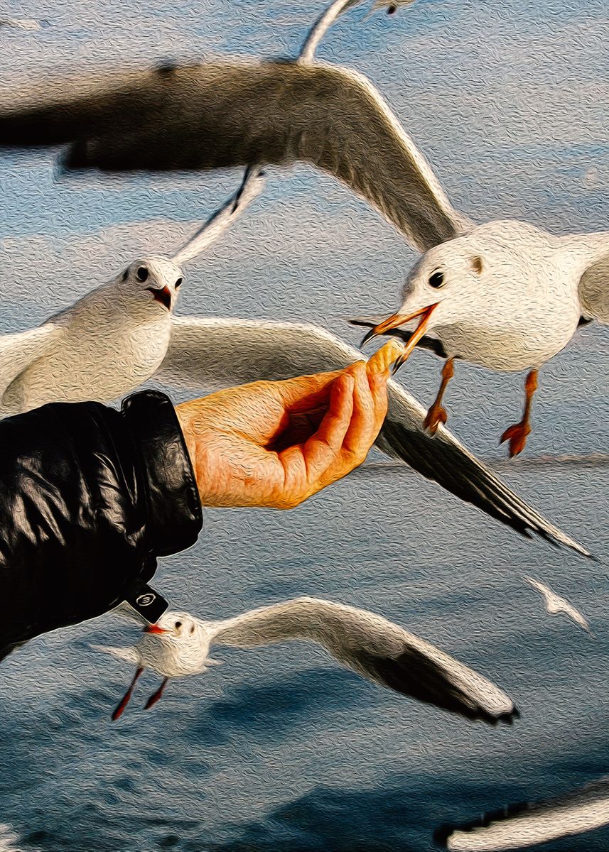 'Feeding Seagull' Poster, picture, metal print, paint by ANDRE MCKAY ...