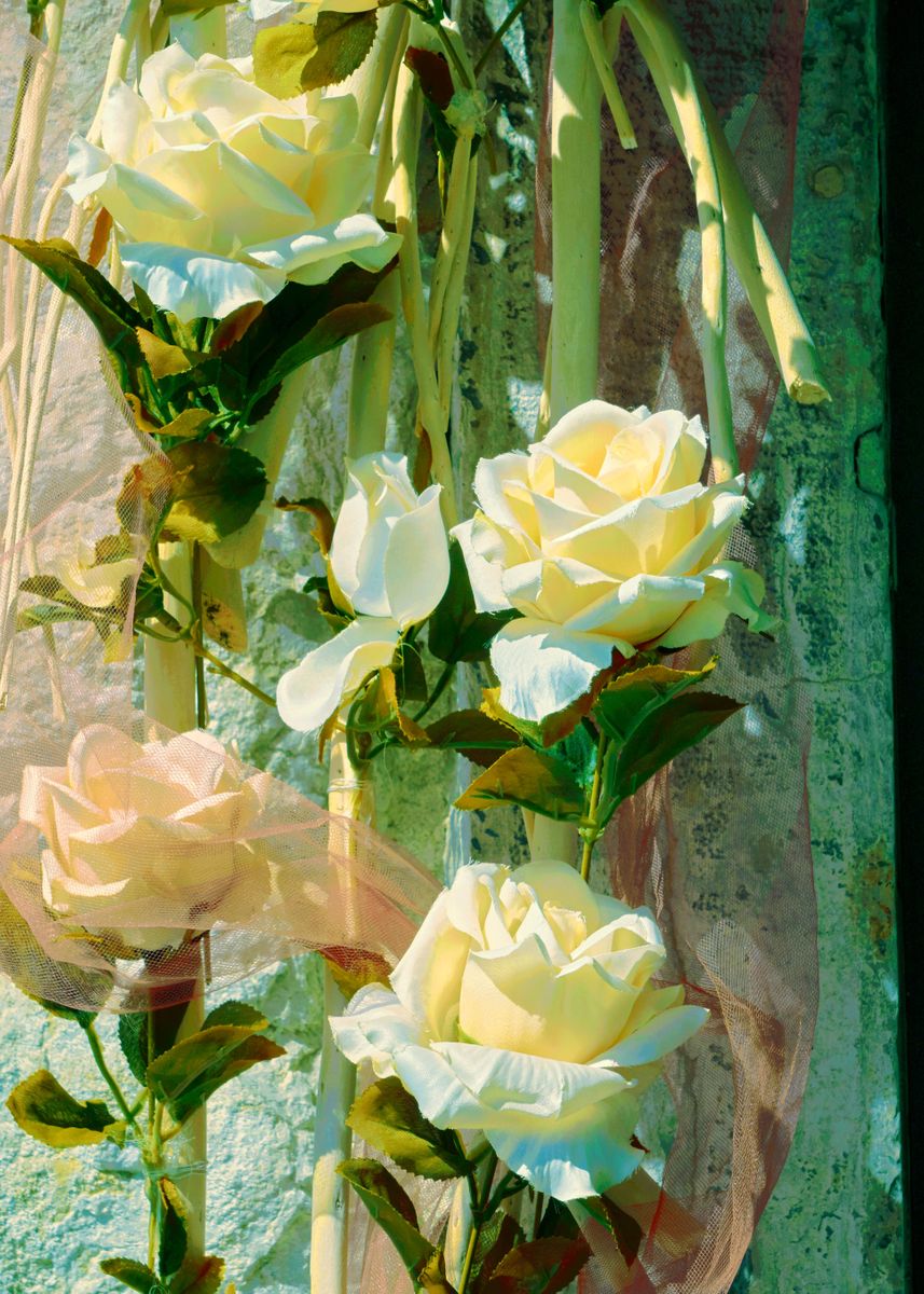 'ornamental rose' Poster, picture, metal print, paint by Ornella ...