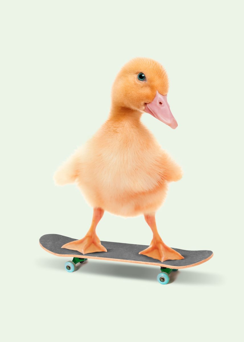 'Skateboarding Duck' Poster, picture, metal print, paint by Jonas Loose ...