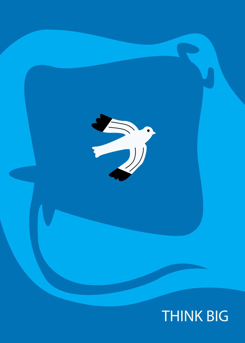 'Swim Shaker' Poster, picture, metal print, paint by taofik merchsigns ...