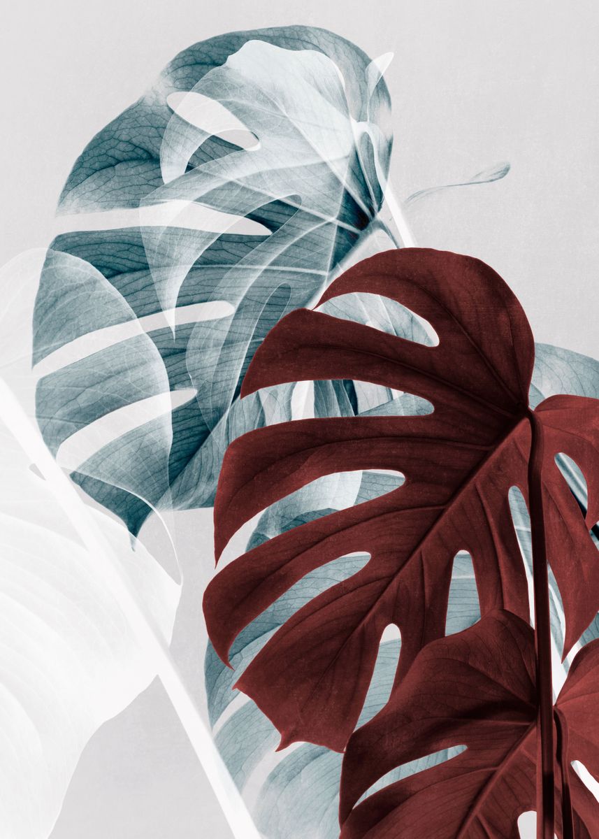 'Monstera Creative 18' Poster by World Class Photos | Displate