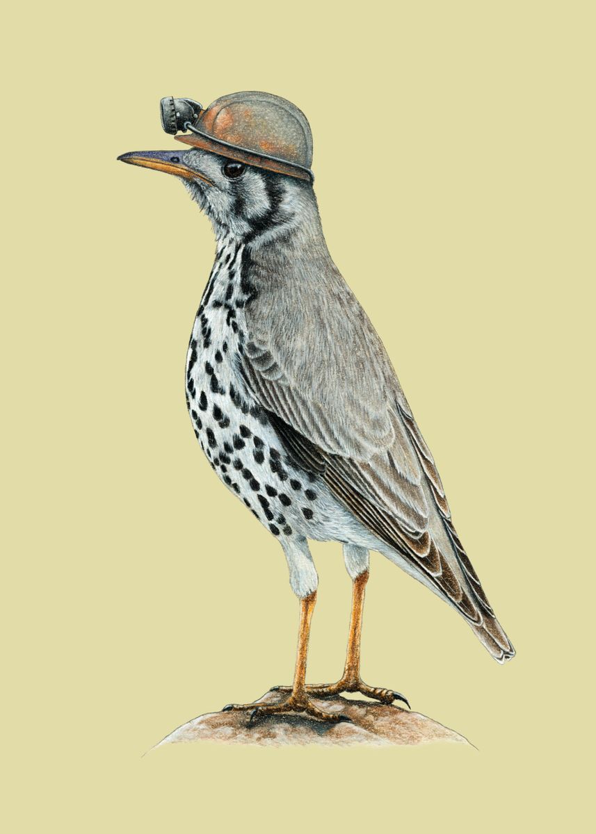 'Groundscraper thrush' Poster, picture, metal print, paint by Mikhail ...