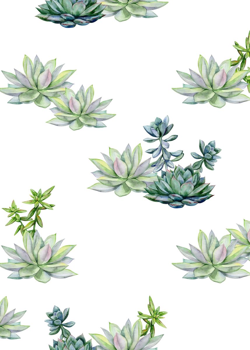 'Watercolor Succulent 03' Poster, picture, metal print, paint by Aloke ...