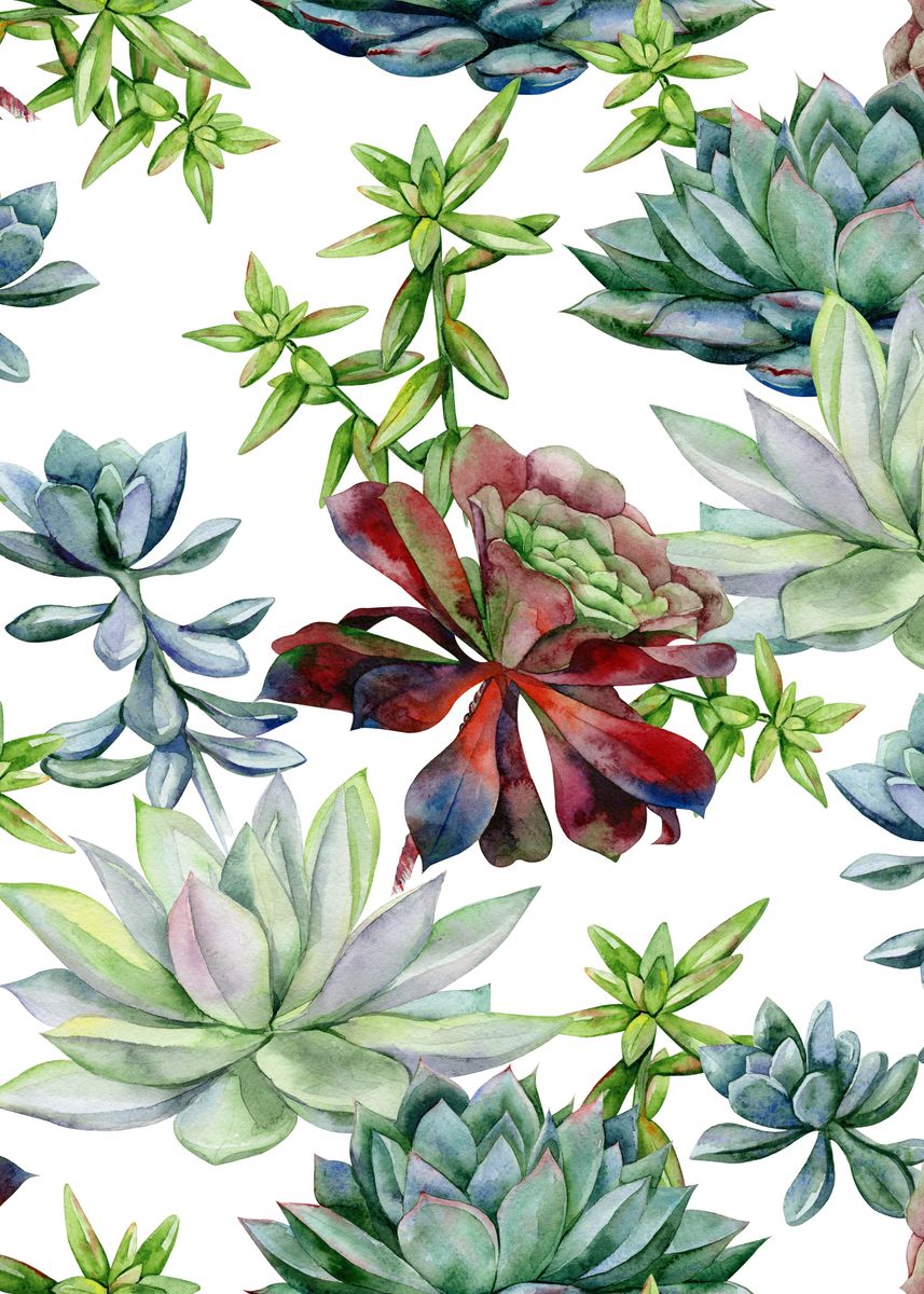 'Watercolor Succulent 01' Poster, picture, metal print, paint by Aloke ...