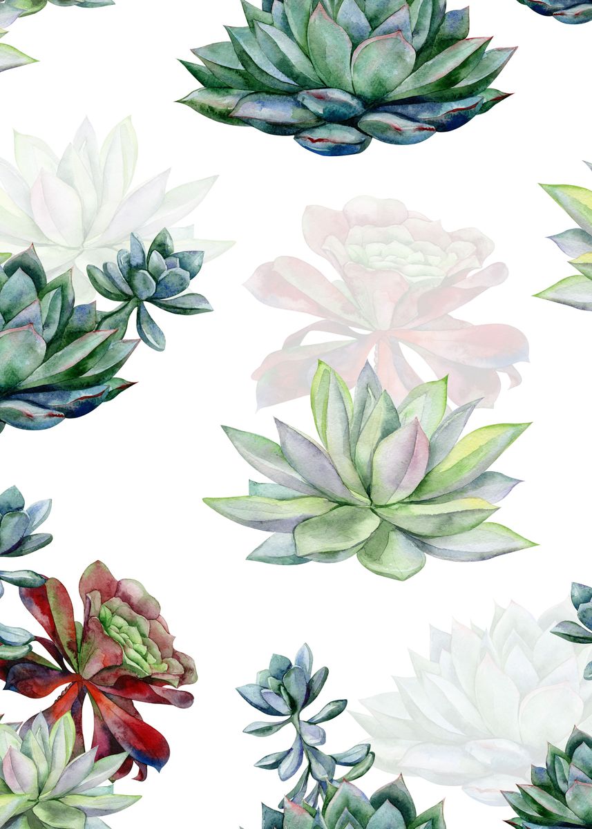 'Watercolor Succulent 04' Poster, picture, metal print, paint by Aloke ...