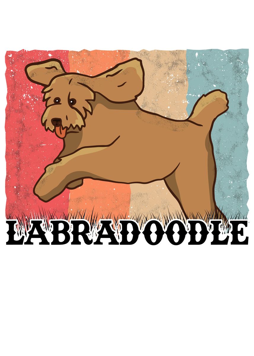 'Labradoodle Retro' Poster, picture, metal print, paint by ...