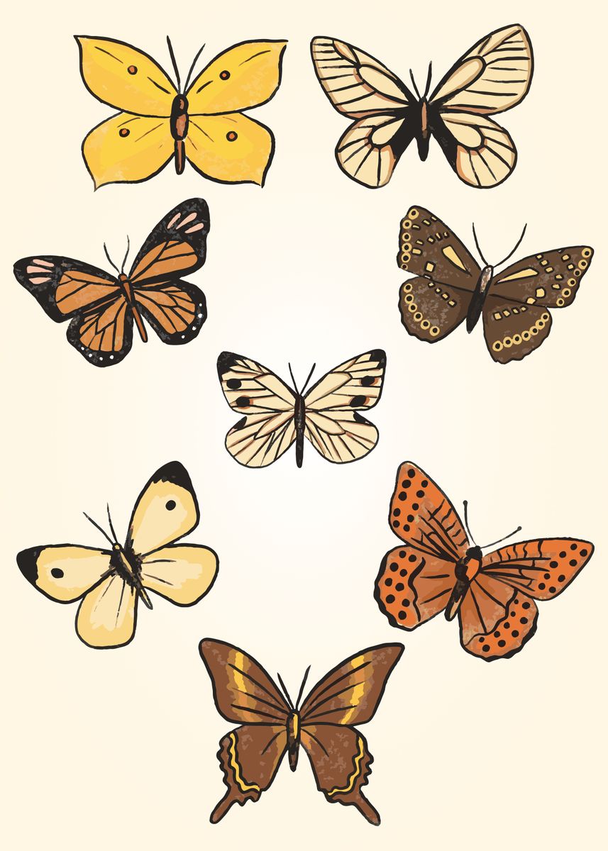 'Butterfly Collection' Poster, picture, metal print, paint by ...