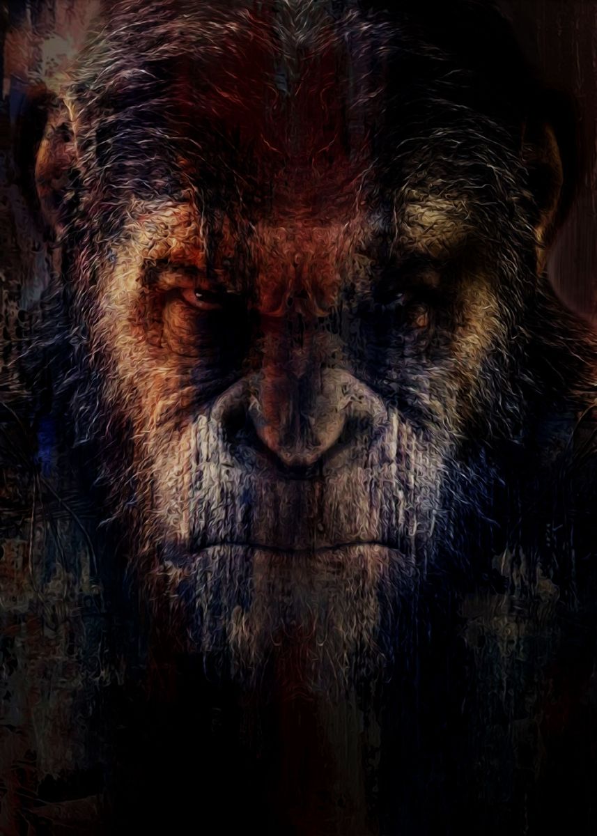 Planet Of The Apes Caesar Wallpaper