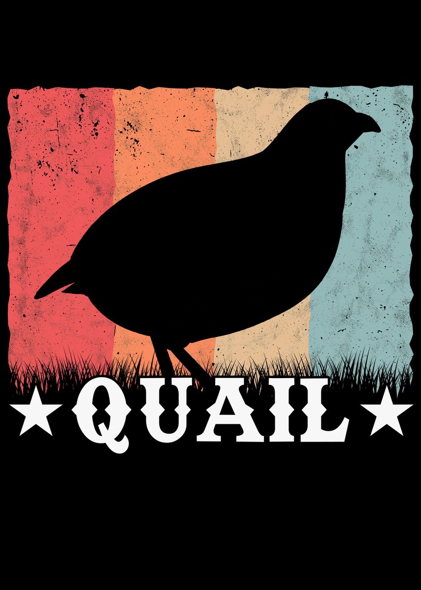 'Quail Retro Breeder Hen' Poster, picture, metal print, paint by ...