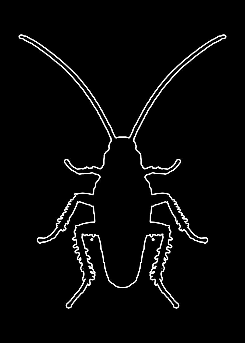 'Cockroach' Poster, picture, metal print, paint by Mealla | Displate