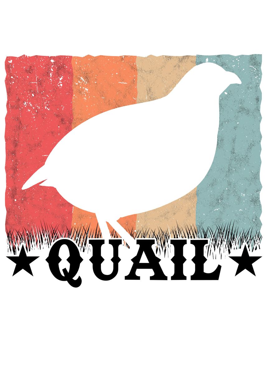 'Quail Retro Breeder Hen' Poster, picture, metal print, paint by ...