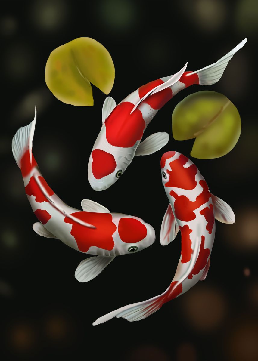 'Koi Fish' Poster, picture, metal print, paint by Sam Kal | Displate