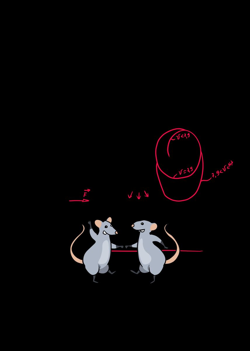 'Mathematics Rats World' Poster by Hexor | Displate