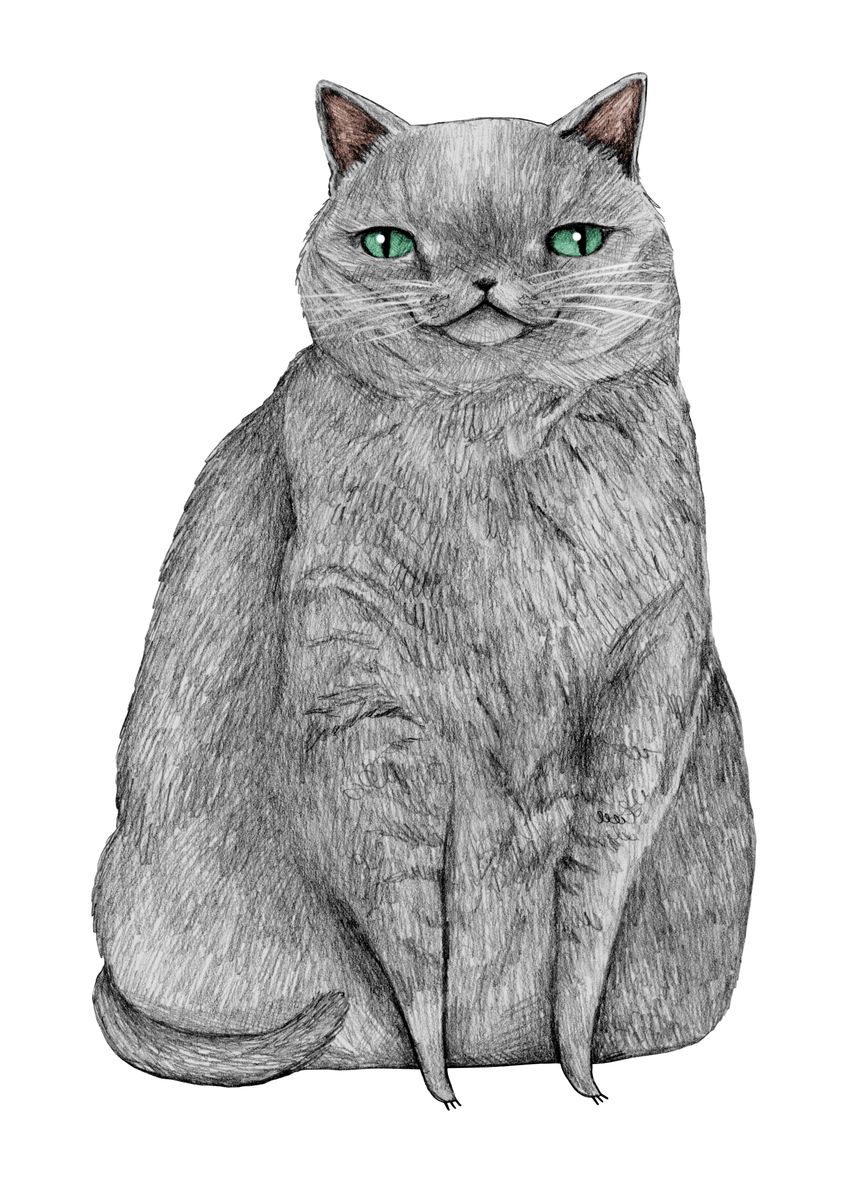 'Grey Cat' Poster, picture, metal print, paint by Sophie Corrigan ...