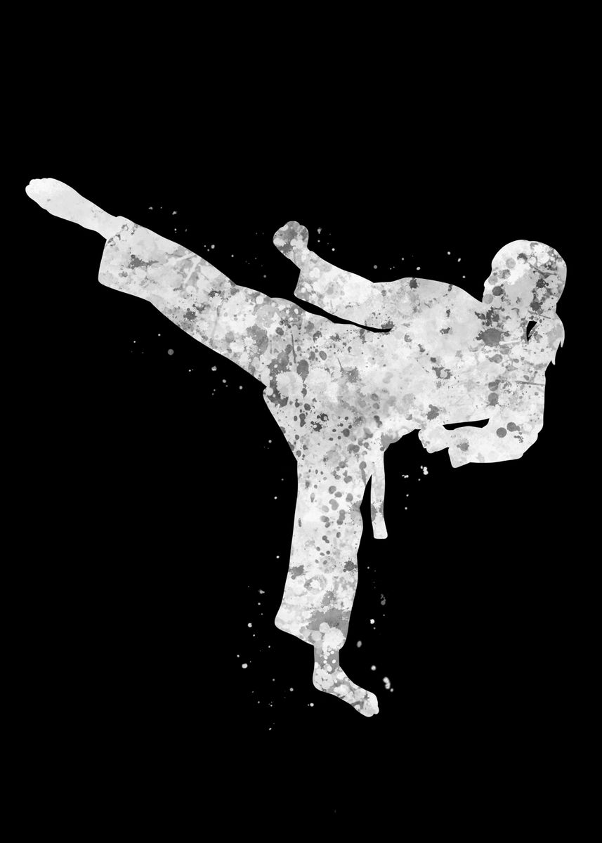 'Taekwondo Karate Kick' Poster, picture, metal print, paint by Yahya ...
