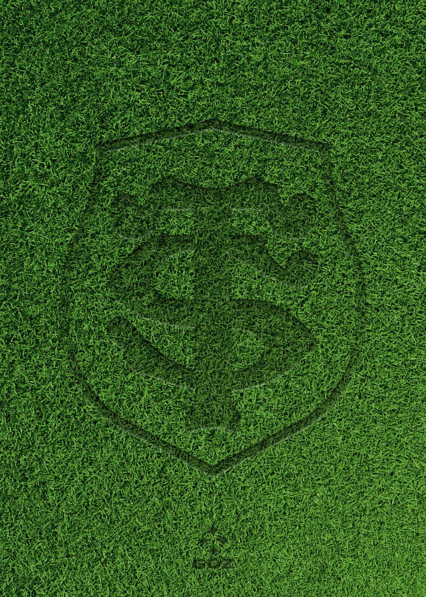 'logo Stade Toulousain' Poster, picture, metal print, paint by Goz ...