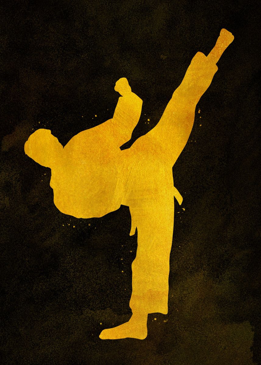 'Taekwondo Karate Kick' Poster, picture, metal print, paint by Yahya ...