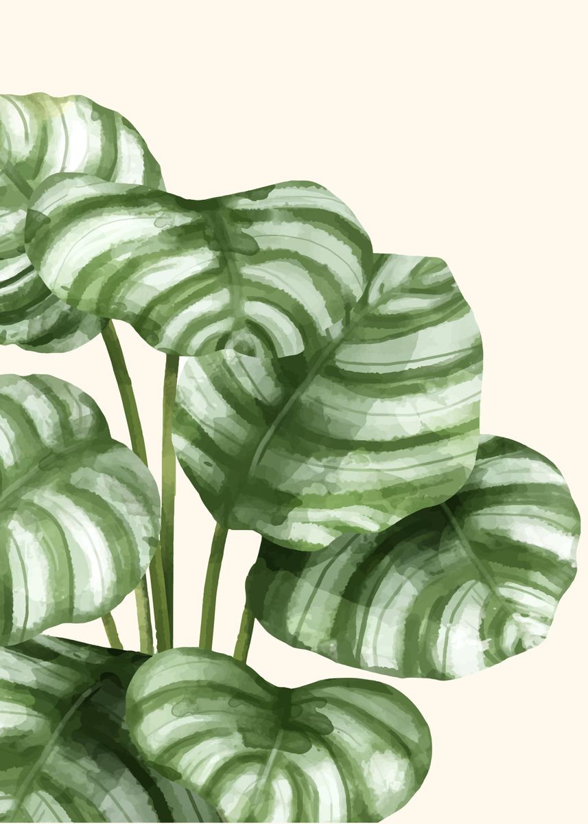 'Leaf' Poster by Ipe Art | Displate