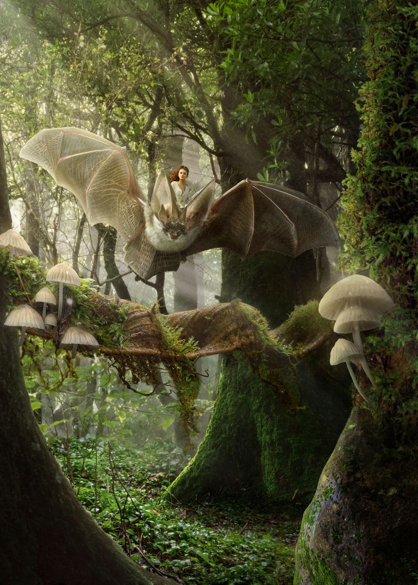 'Forest Flight' Poster, picture, metal print, paint by KC Lynn | Displate