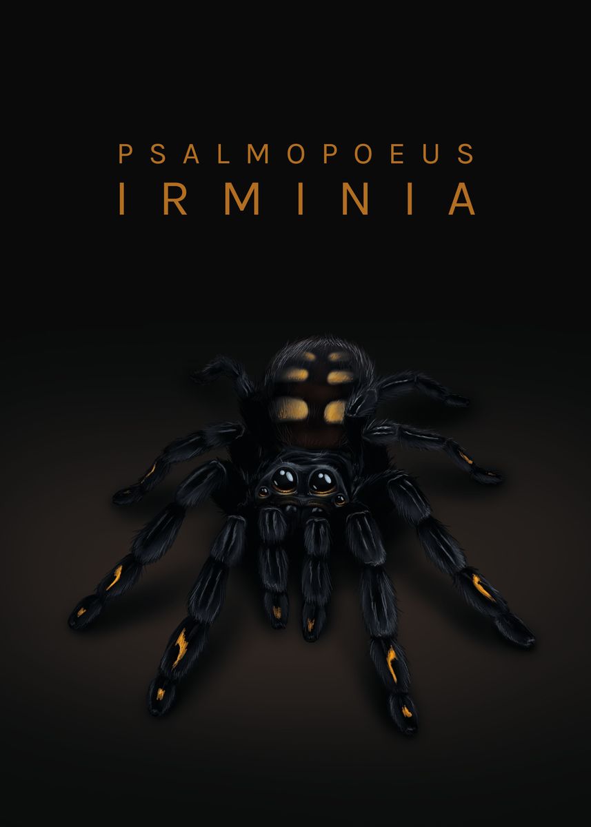 'Psalmopoeus irminia' Poster, picture, metal print, paint by Linda ...