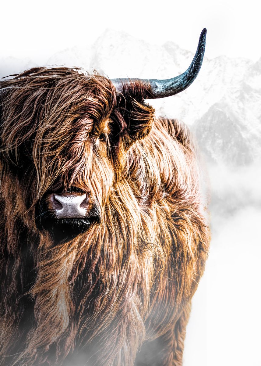 'Highlander' Poster, picture, metal print, paint by Artistic Lab | Displate