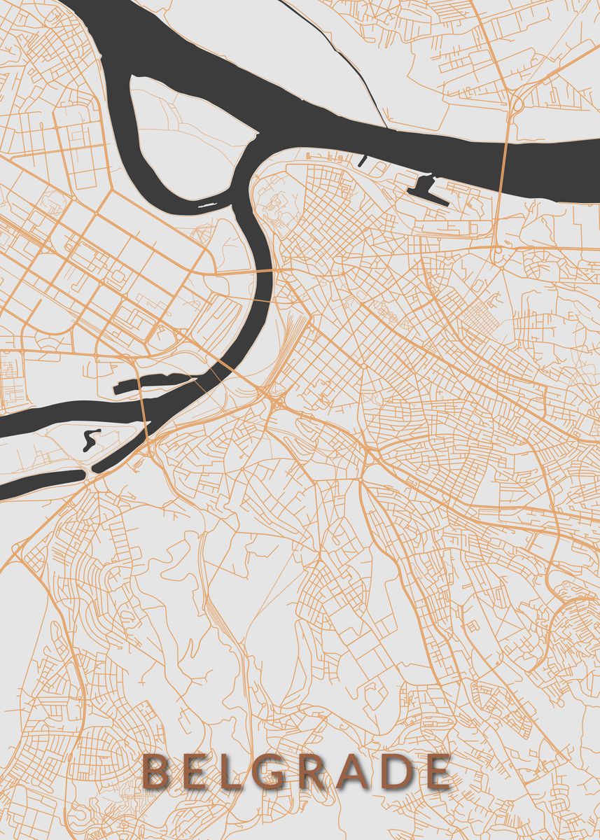'Belgrade Map' Poster, picture, metal print, paint by dkDesign | Displate