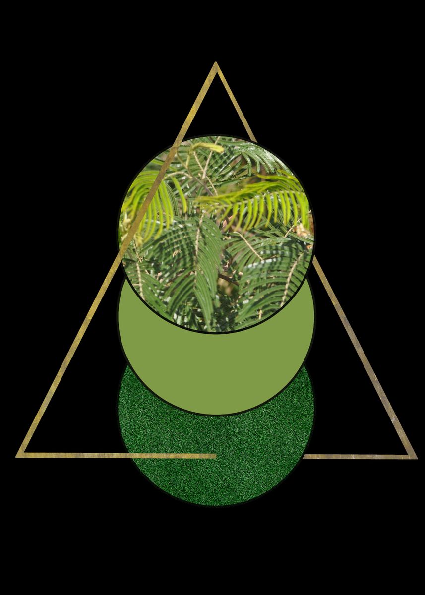 'botanical geometry 1' Poster, picture, metal print, paint by ...