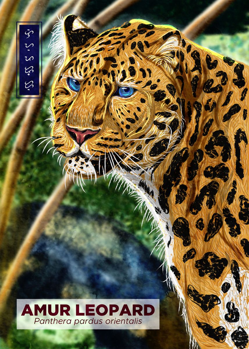 'Amur leopard' Poster, picture, metal print, paint by Thor Reyes | Displate