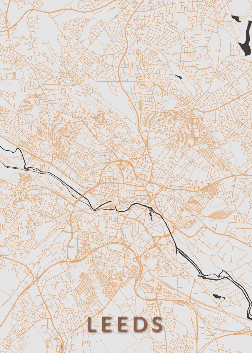 'Leeds City Map' Poster, picture, metal print, paint by dkDesign | Displate