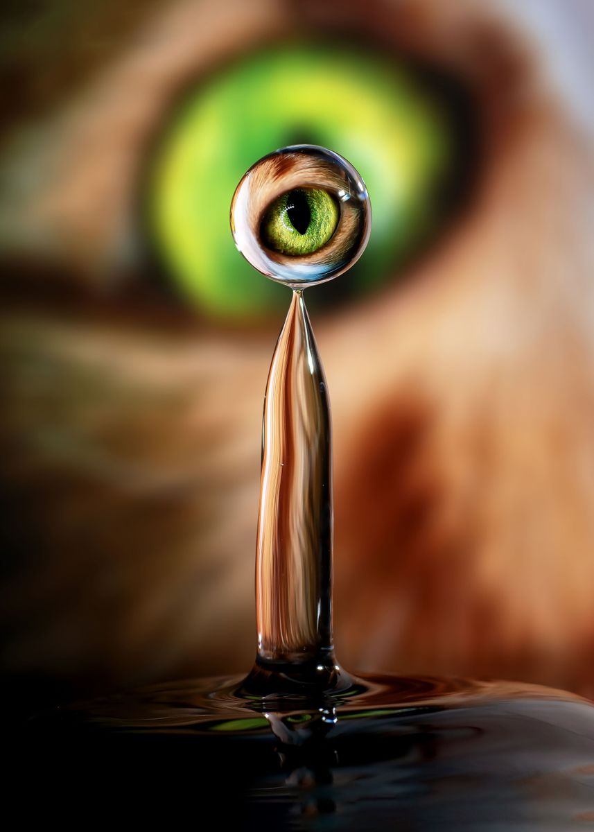 'Cats Eye Water Drop' Poster, picture, metal print, paint by Tim ...