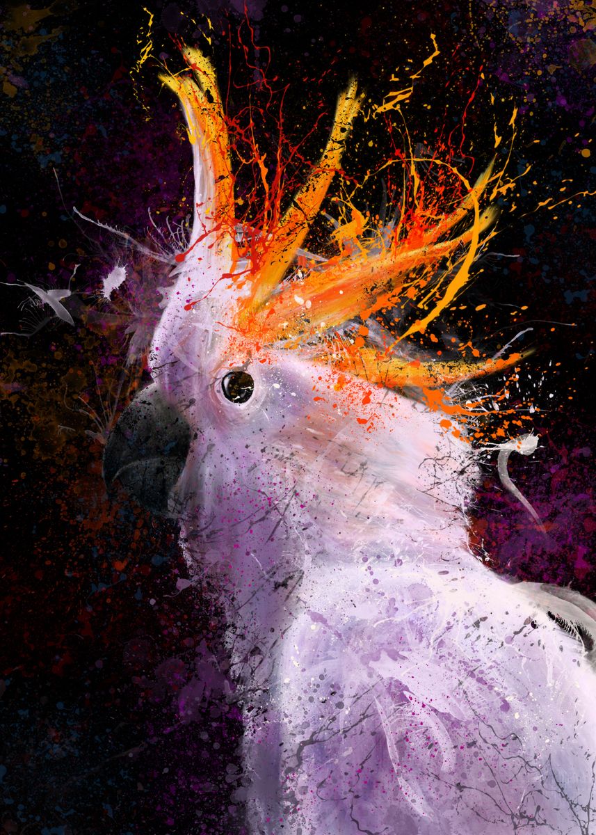 'Cockatoo Profile' Poster, picture, metal print, paint by lumale | Displate