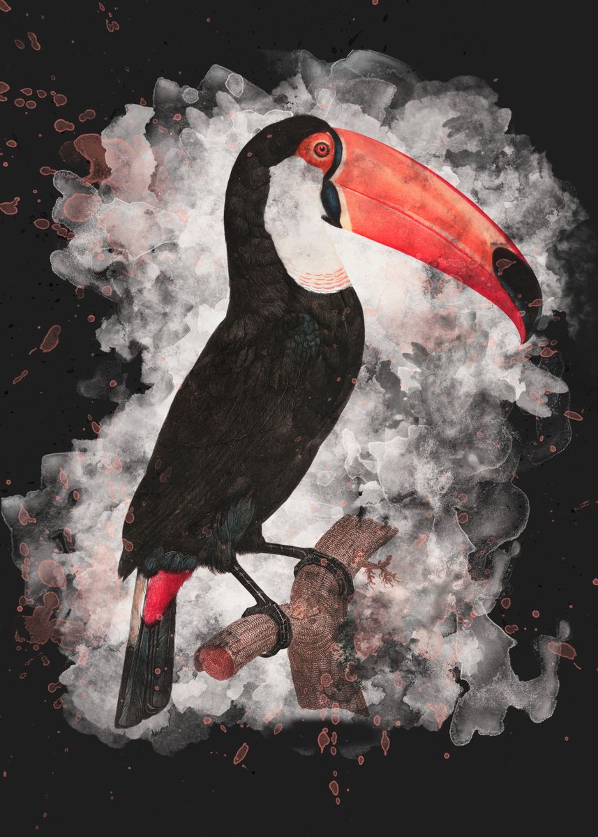 'Toucan Rules' Poster, picture, metal print, paint by Vi Digiworks ...