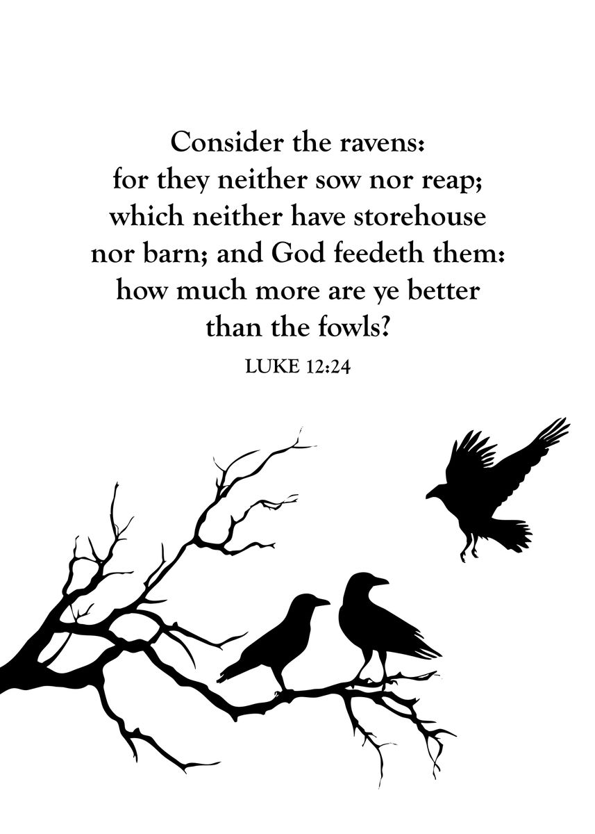 'Luke 12 24' Poster, picture, metal print, paint by ABConcepts | Displate