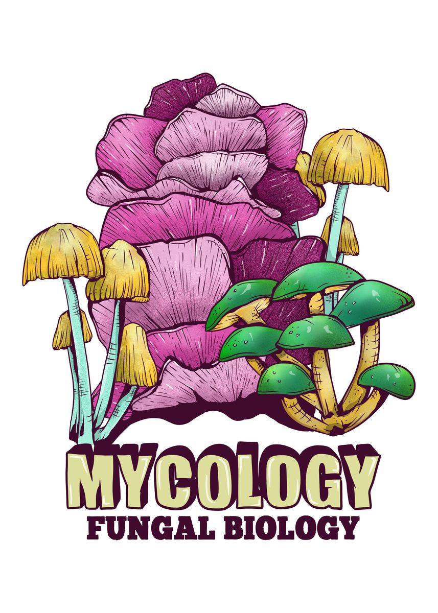 'Mycology Muschrooms' Poster, picture, metal print, paint by mailbox ...