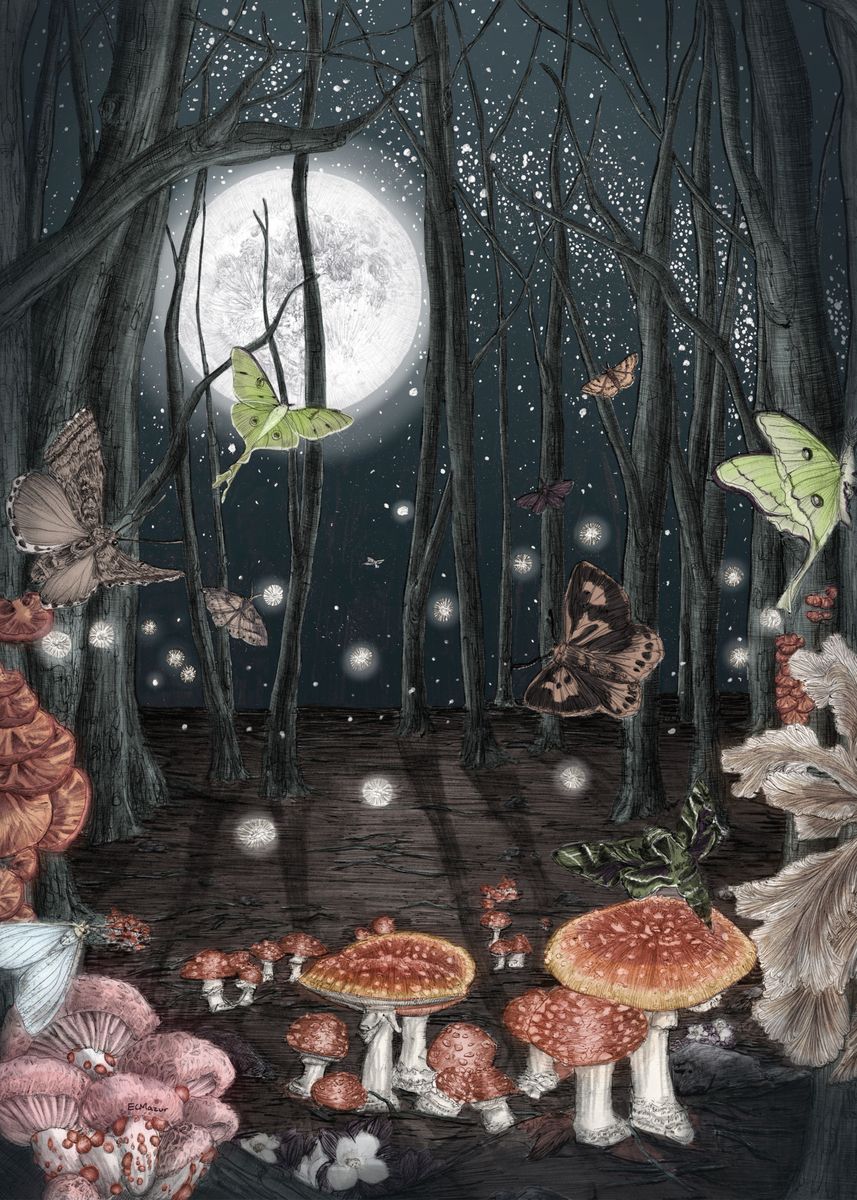 'Midnight Magic ' Poster, picture, metal print, paint by Ella Mazur ...