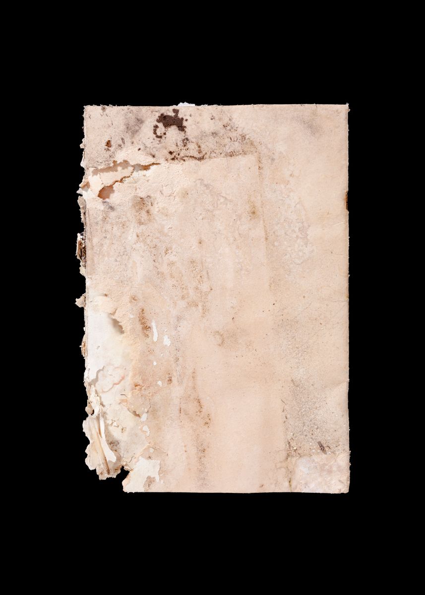 'Paper book ruined vertical' Poster, picture, metal print, paint by ...