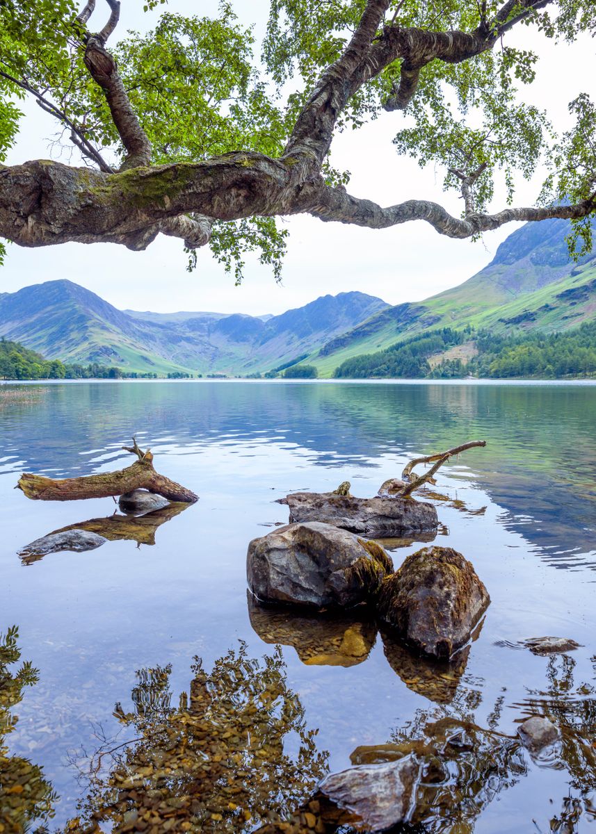 'Lake View' Poster, picture, metal print, paint by Svetlana Sewell ...