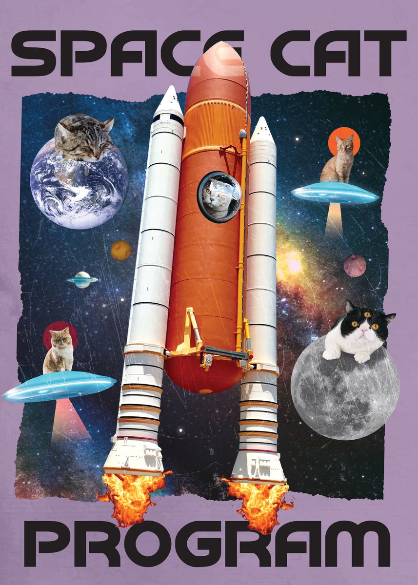 'Space Cat Program' Poster, picture, metal print, paint by StonerPlates ...