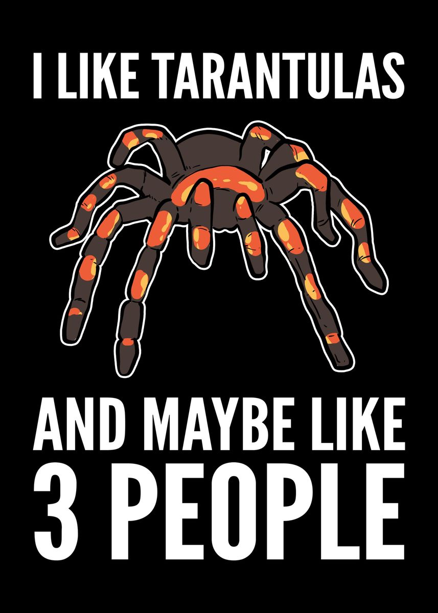 'I Like Tarantulas' Poster by FunnyGifts | Displate