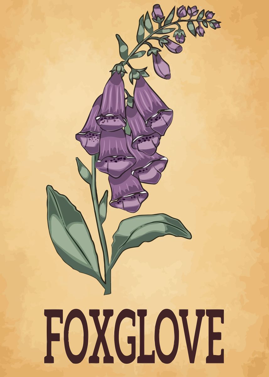 'Foxglove' Poster, picture, metal print, paint by Poster For Life ...