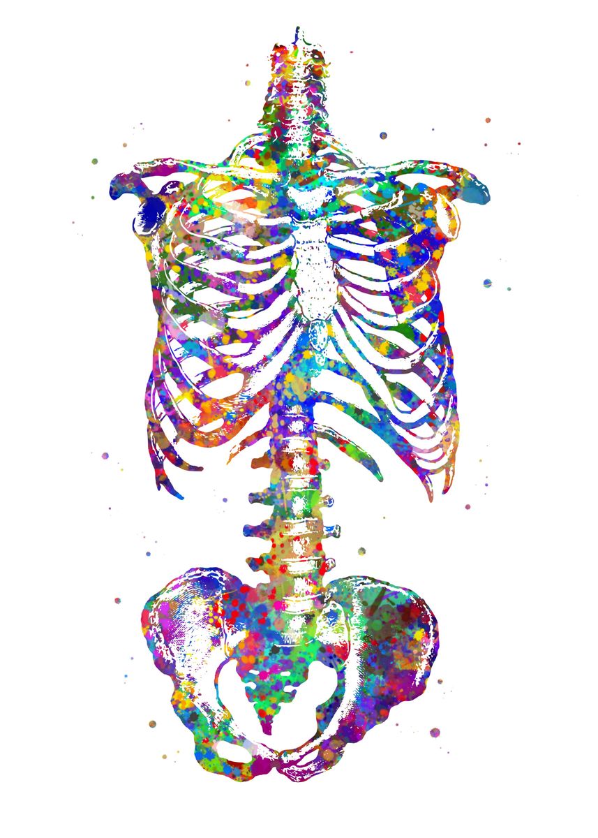 'Skeleton Torso' Poster, picture, metal print, paint by Yahya Art ...